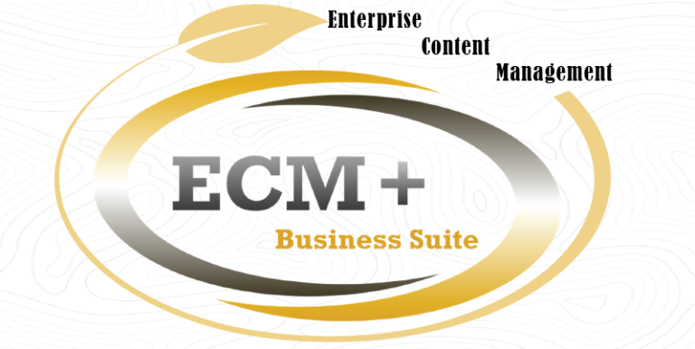 Understanding Enterprise Content Management Systems